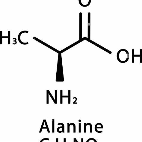 The Lewis structure for alanine is shown below - Learnexams