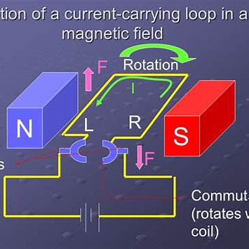 explain why its D If released from rest, the current loop will Move ...